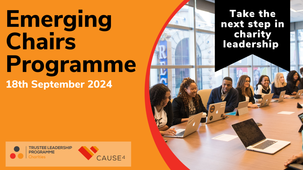 Emerging Chairs Programme - Virtual | Cause4